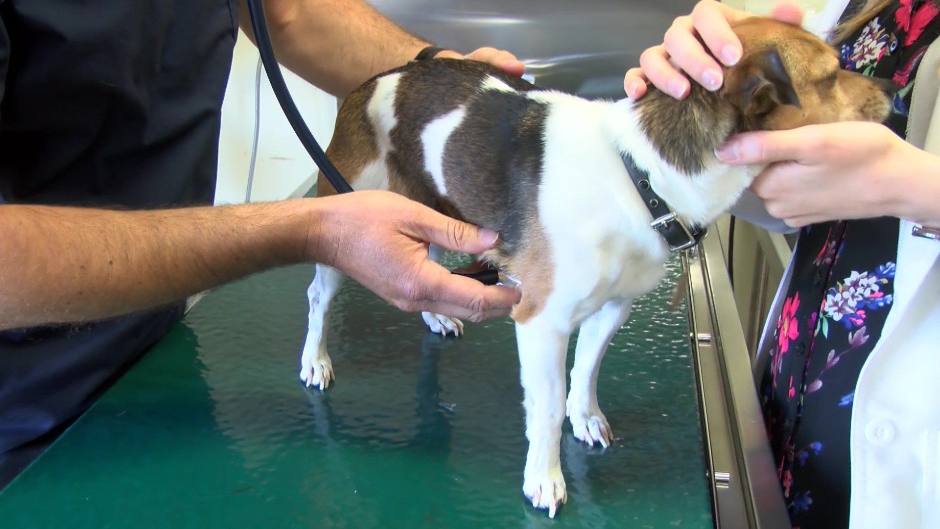 Home - KTVQ.com | Q2 | Continuous News Coverage | Billings, MT